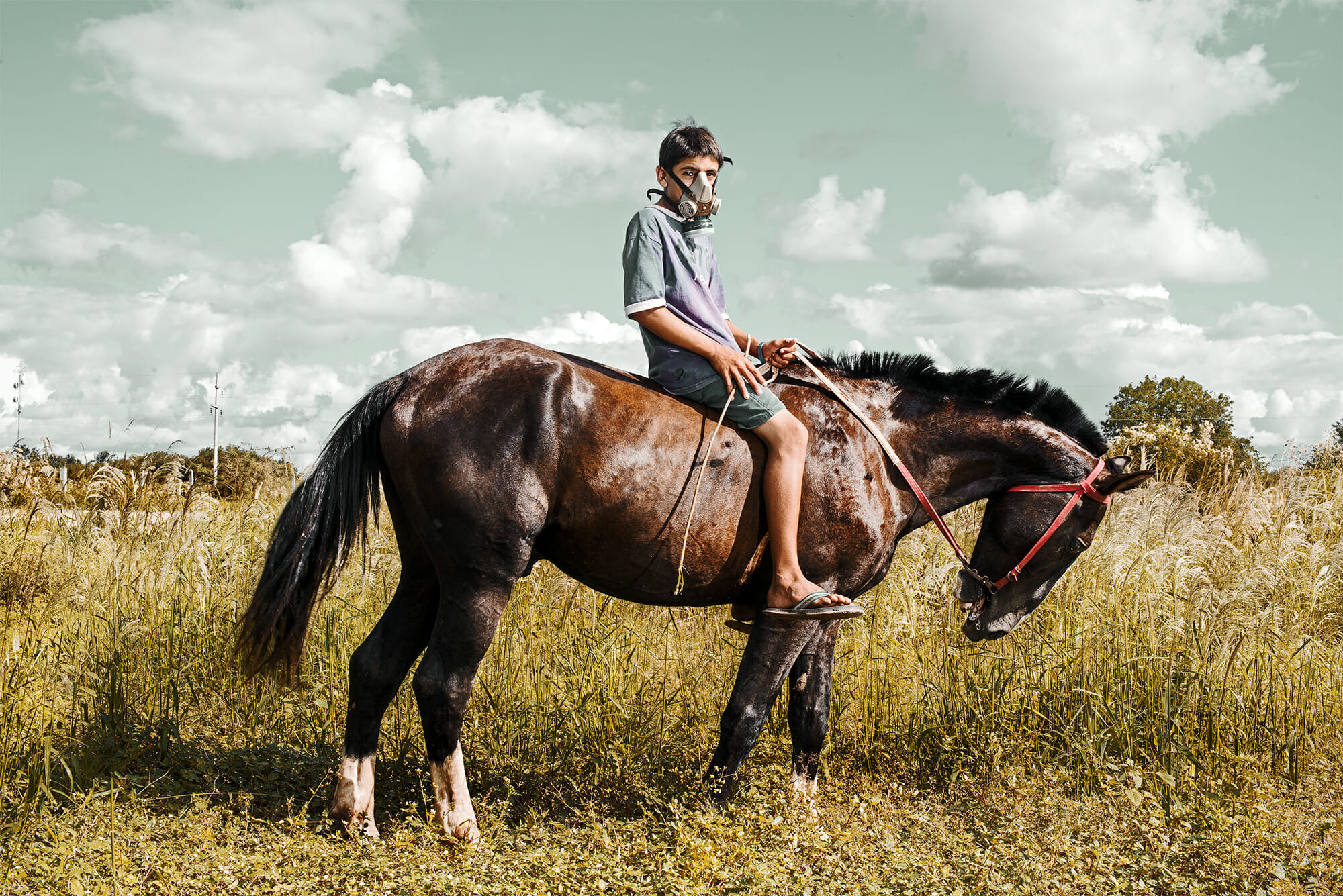 Marco Vernaschi - SEEDS for LIFE